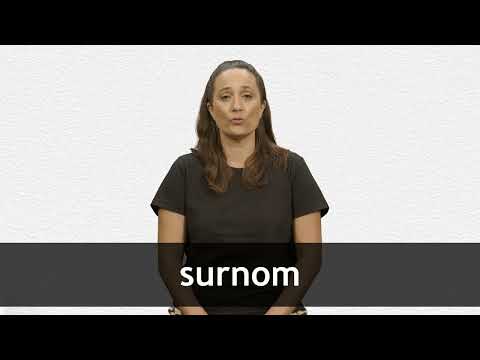 English Translation of “SURNOM” | Collins French-English Dictionary