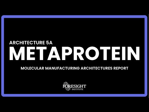 Architecture 5A: Metaprotein | Molecular Manufacturing Architectures Report