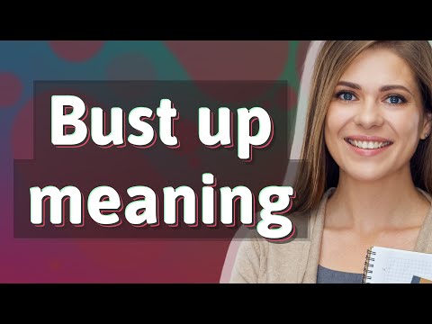 Bust up | meaning of Bust up