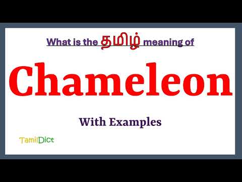 Chameleon Meaning in Tamil | Chameleon in Tamil | Chameleon in Tamil Dictionary |