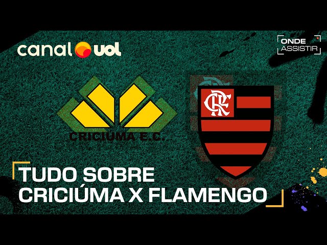Jogo do Flamengo hoje: horário e onde assistir ao vivo