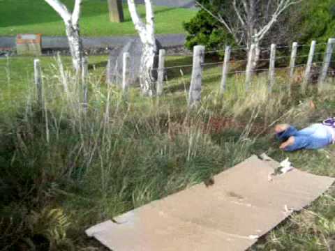 grass sliding | Loriz Vidz Blog