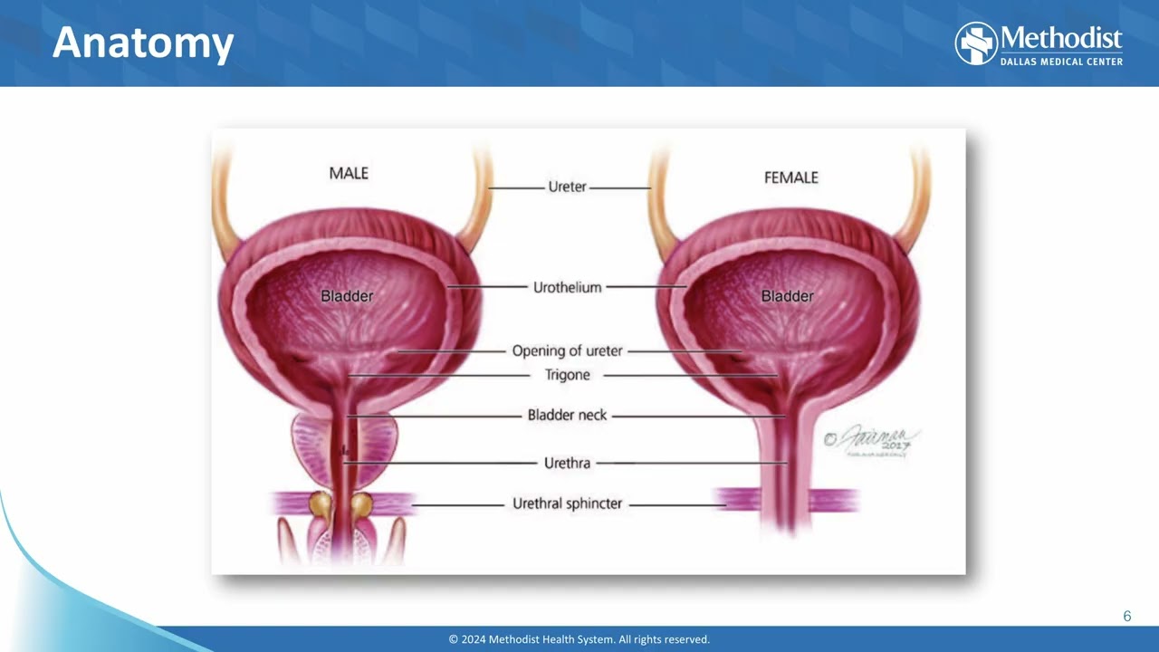 What is overactive bladder (OAB)?