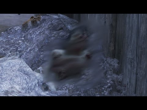 Steam Community :: Video :: BUG - Hunt: Showdown - Step Zombie