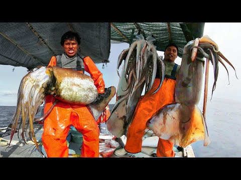 Mira PESCADORES afortunados Capturan CALAMARES GRANDES en Alta Mar - giant squid