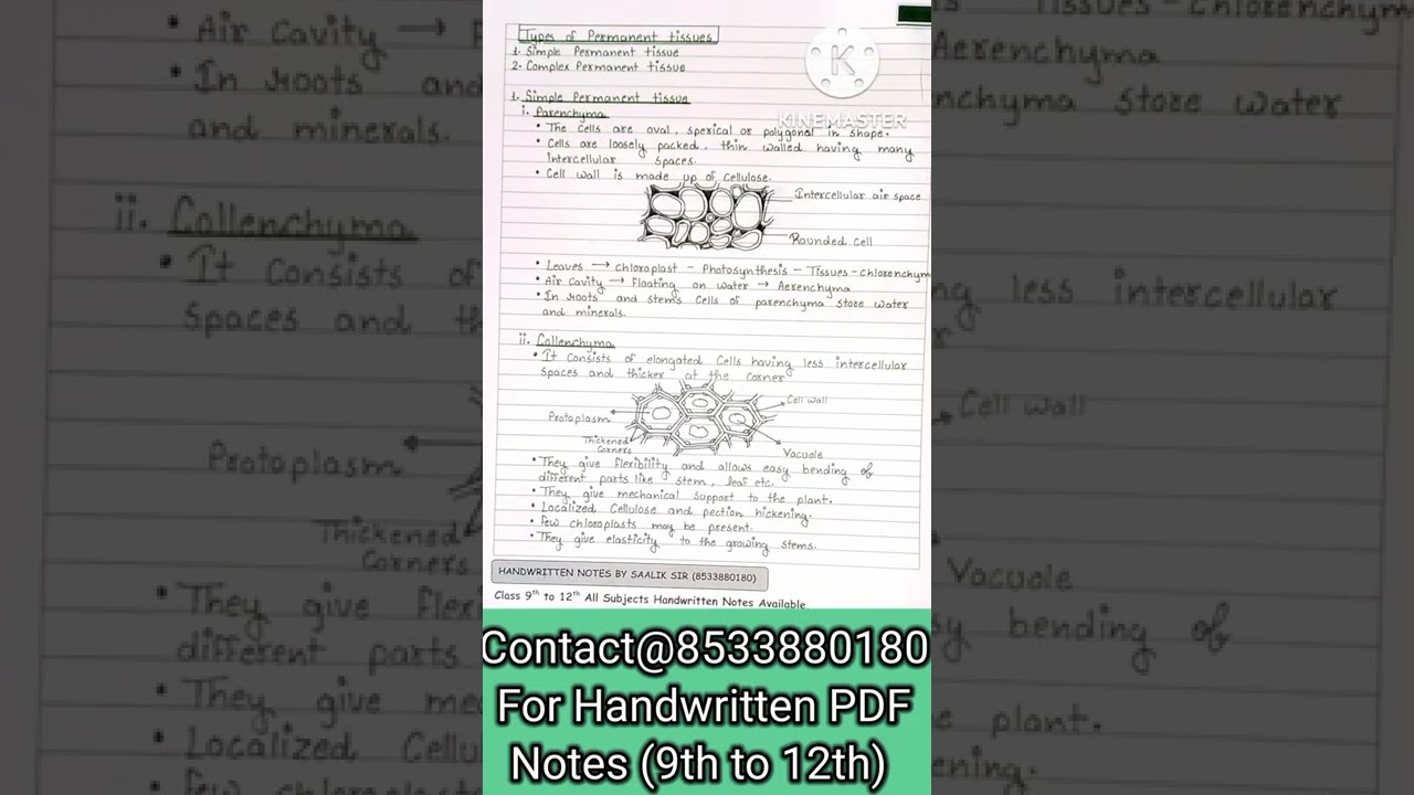Tissues handwritten notes pdf | class 9th Biology chapter 6 pdf Science notes by saalik sir notes