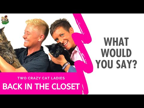 What Would YOU Say? | Two Crazy Cat Ladies Questionnaire