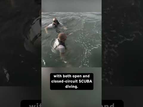 Navy SEAL Training Phase 2