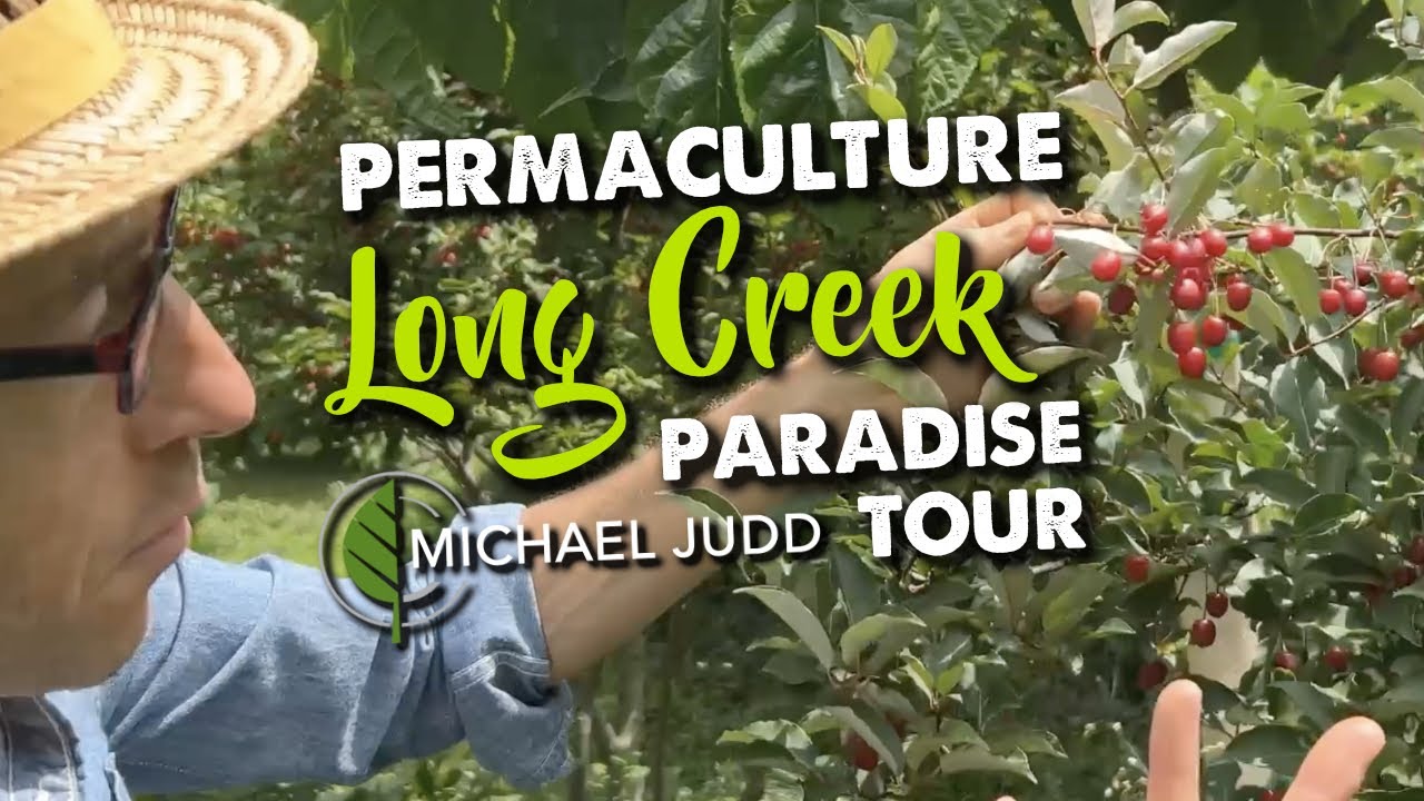 Food Forest Design | Food Forest & Edible Landscaping Ideas