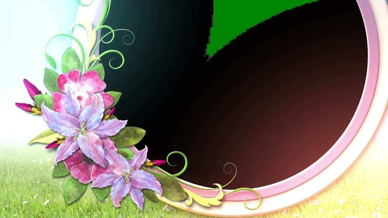 SPECIAL ALPHA FRAMES 17