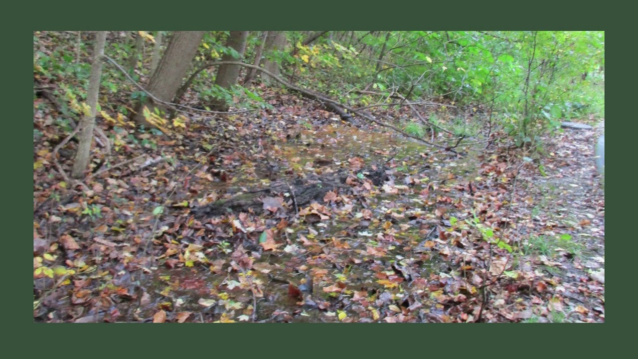 Subsurface Flow in Hydrology