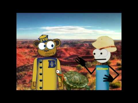 Molecular Clocks and a Thousand Year Old Turtle | A Mouthful of Soap