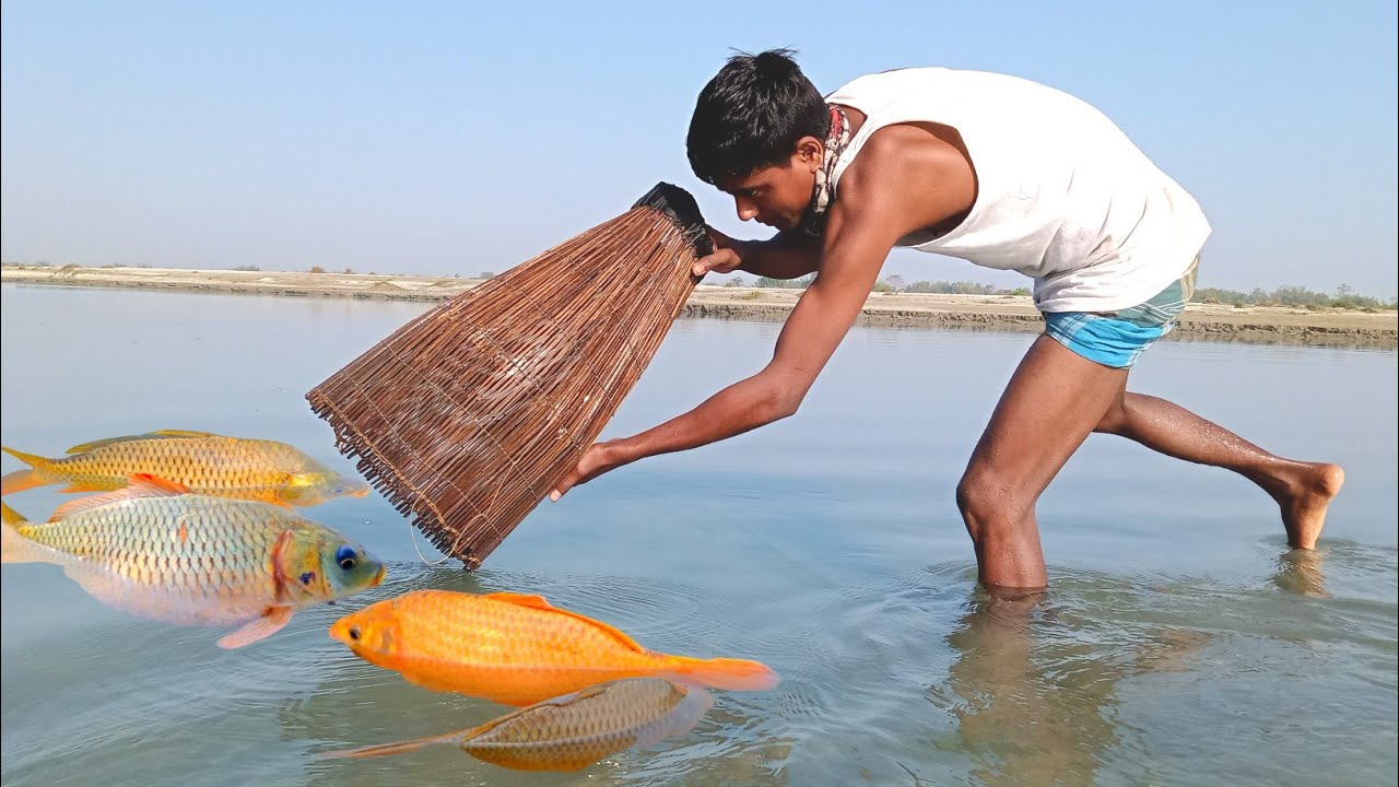 big fishing video 2022@ new project 2