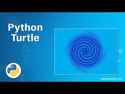 How to write Text in Python Turtle