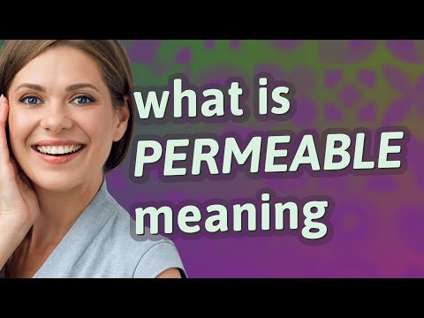 Permeable | meaning of Permeable