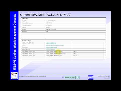 Mountainview ITIL V3 CMDB Demo - Bloom level 5
