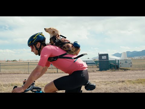 Meet Sir Willie the Bike-Riding Dachshund and "Fastest Known Dog"