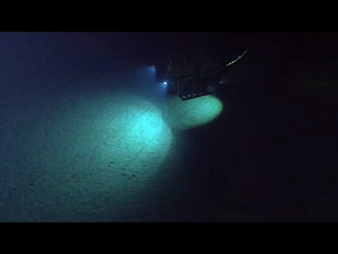 The Deep Ocean