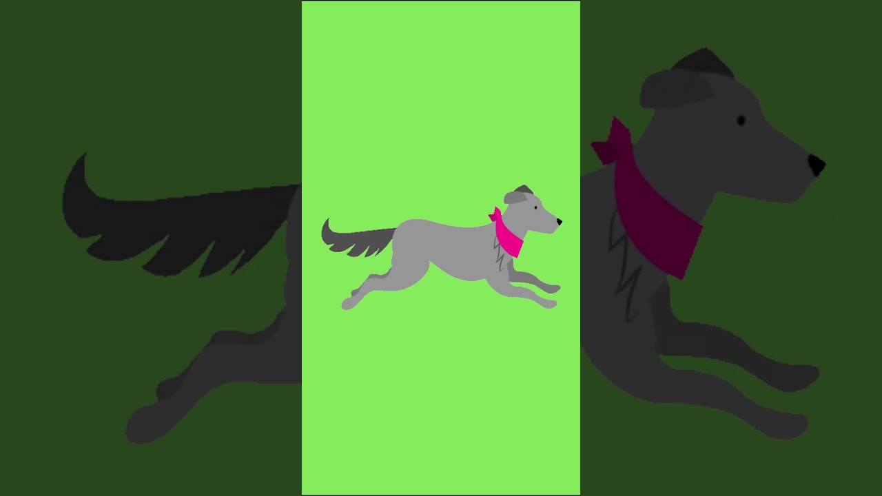 running dog with green screen  #animation