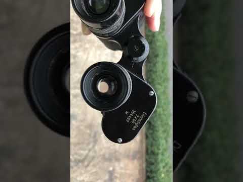 diebstglas beh 7x50