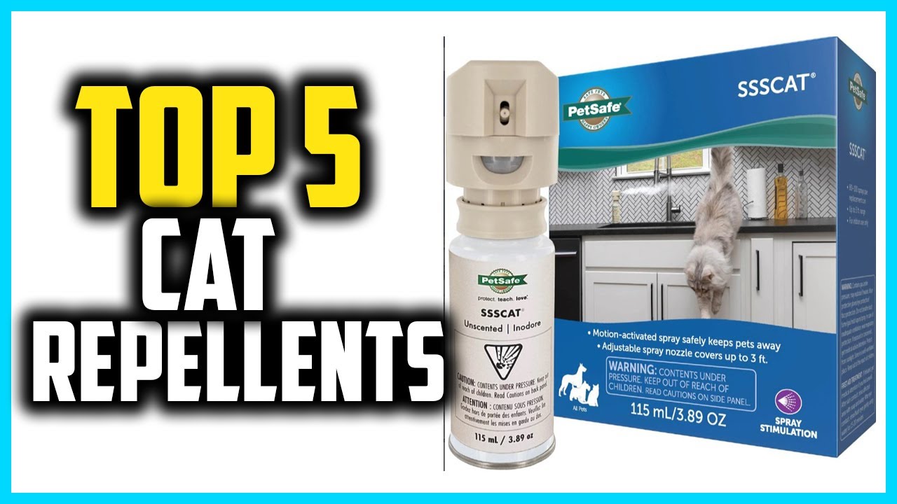 ✅Top 5 Best Cat Repellents Reviews 2024