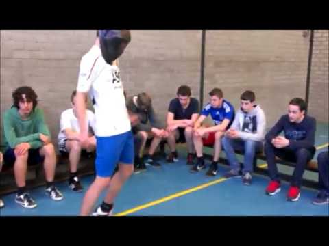 harlem shake reynaert college