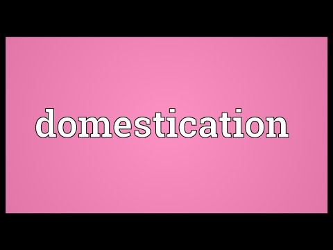 Domestication Meaning