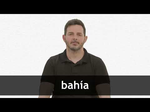 English Translation of “BAHÍA” | Collins Spanish-English Dictionary