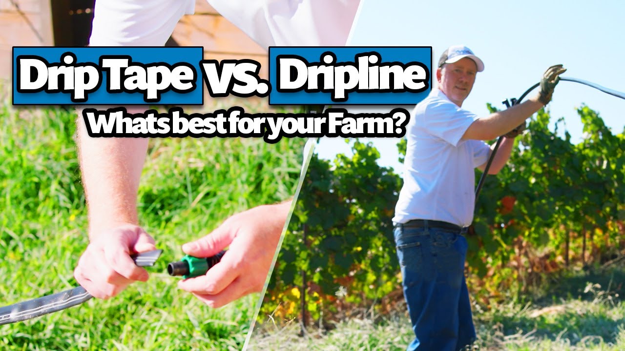 Drip Tape vs. Dripline: What's Best for your Farm?