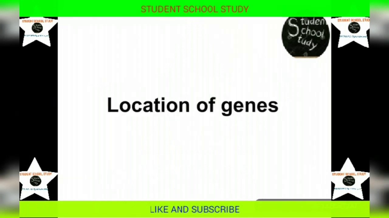 Location of genes
