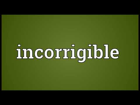 Incorrigible Meaning