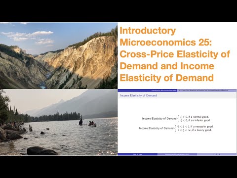 Introductory Microeconomics 25: Cross-Price Elasticity of Demand and Income Elasticity of Demand