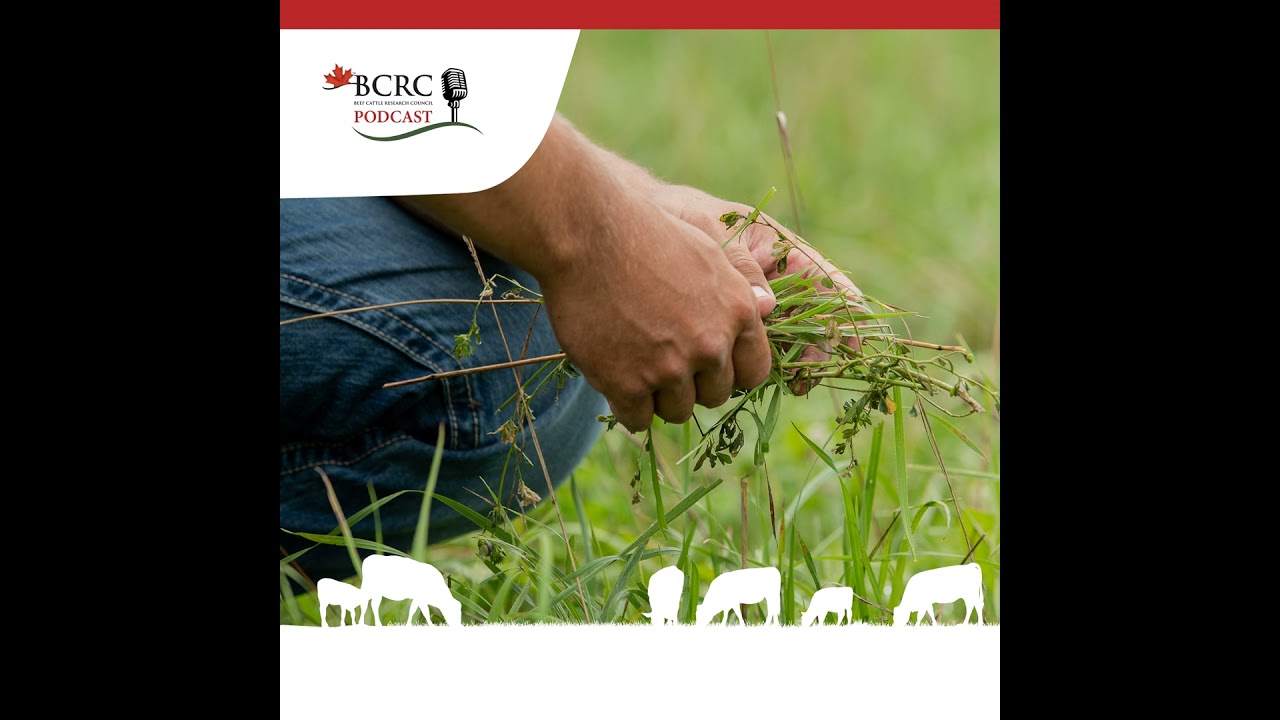 Episode 73: Forage Without Borders