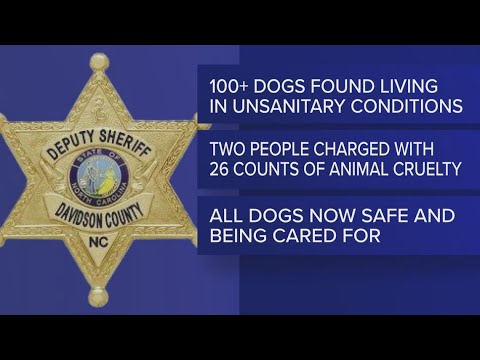 Over 100 dogs rescued from suspected Davidson County puppy mill