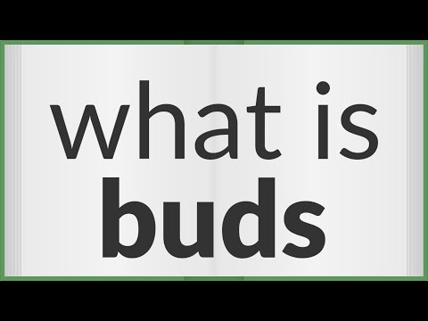 Buds | meaning of Buds