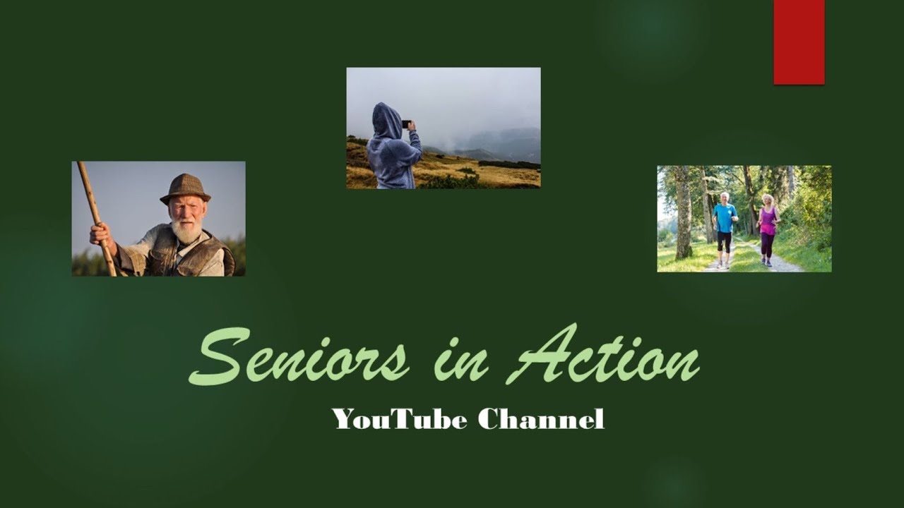 Seniors in Action - Introduction