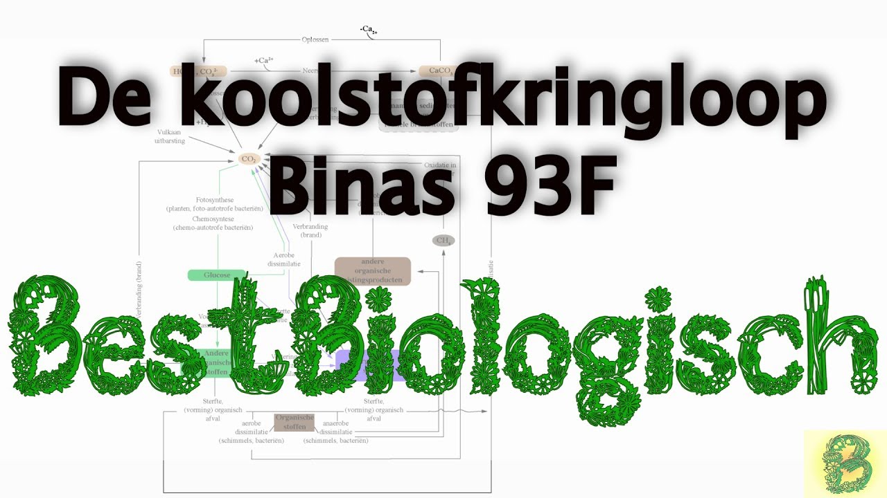 Carbon cycle, Binas table 93F