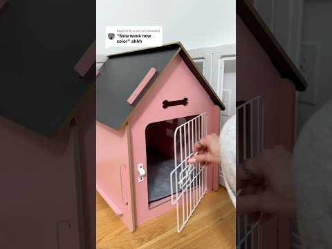 #puppy #puppylife #viralvideo #poodle #dog