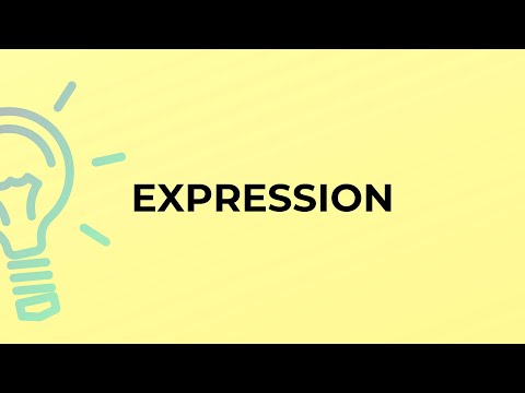 What is the meaning of the word EXPRESSION?