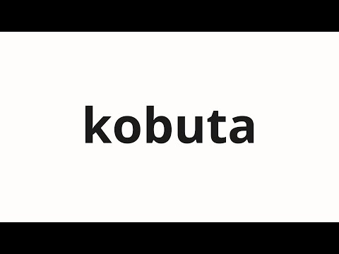 How to pronounce kobuta | 子ぶた (Pupil in Japanese)