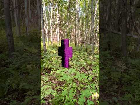 Minecraft in real life
