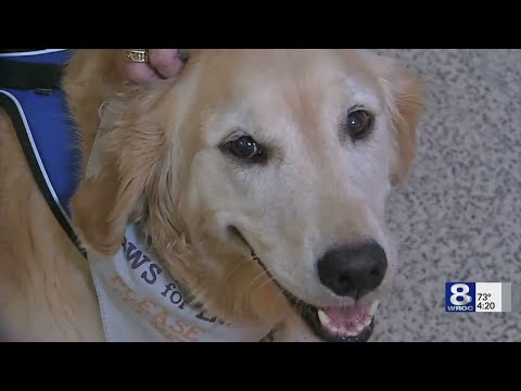 Assistance offered for travelers with autism at Buffalo Niagara International Airport