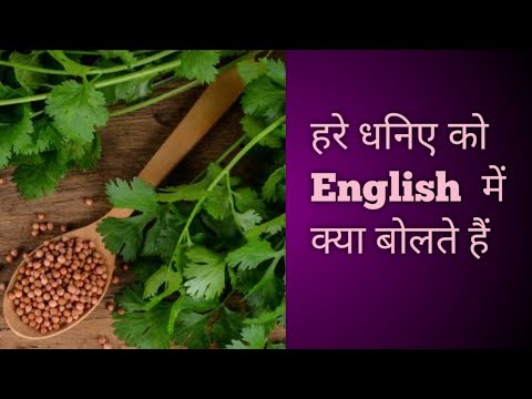 धनिया को इंग्लिश में क्या कहते हैं? |Dhaniya ko English mein kya Kahate Hain? #dhaniya 🥦