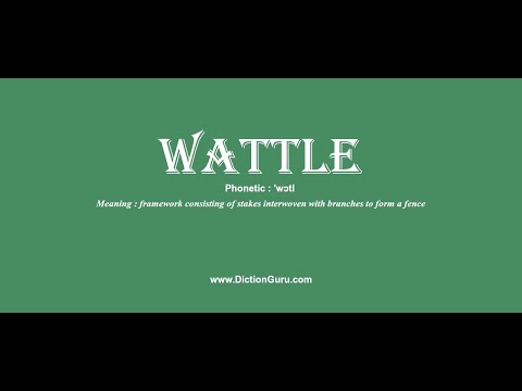 wattle: Pronounce wattle with Phonetic, Synonyms and Examples