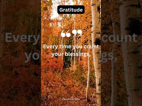 Gratitude is the Attitude: A Quote to Live By