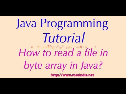 How to read a file in byte array in Java?
