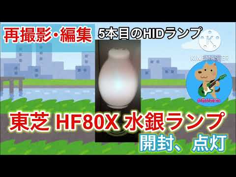 【HID:4本目】東芝 HF80X水銀ランプ 点灯