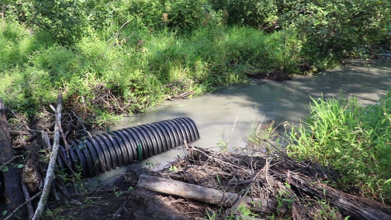 How a Beaver Deceiver Works