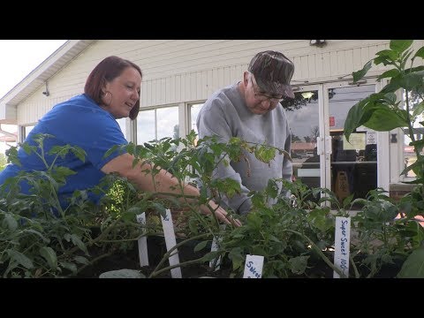 Breckinridge Co Accessible Garden