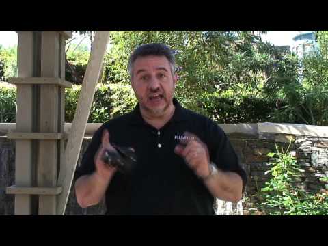 BuyTV Spotlight - FujiFilm FinePix S1000FD 10 Megapixel Digital Camera